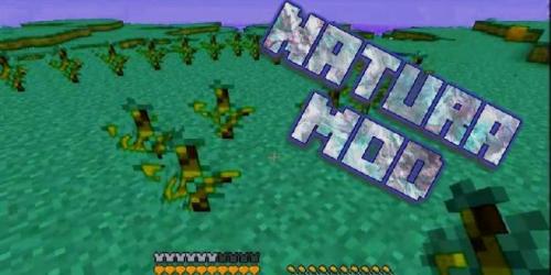 Mods for structures for Minecraft 1.10.2 / MisterLauncher